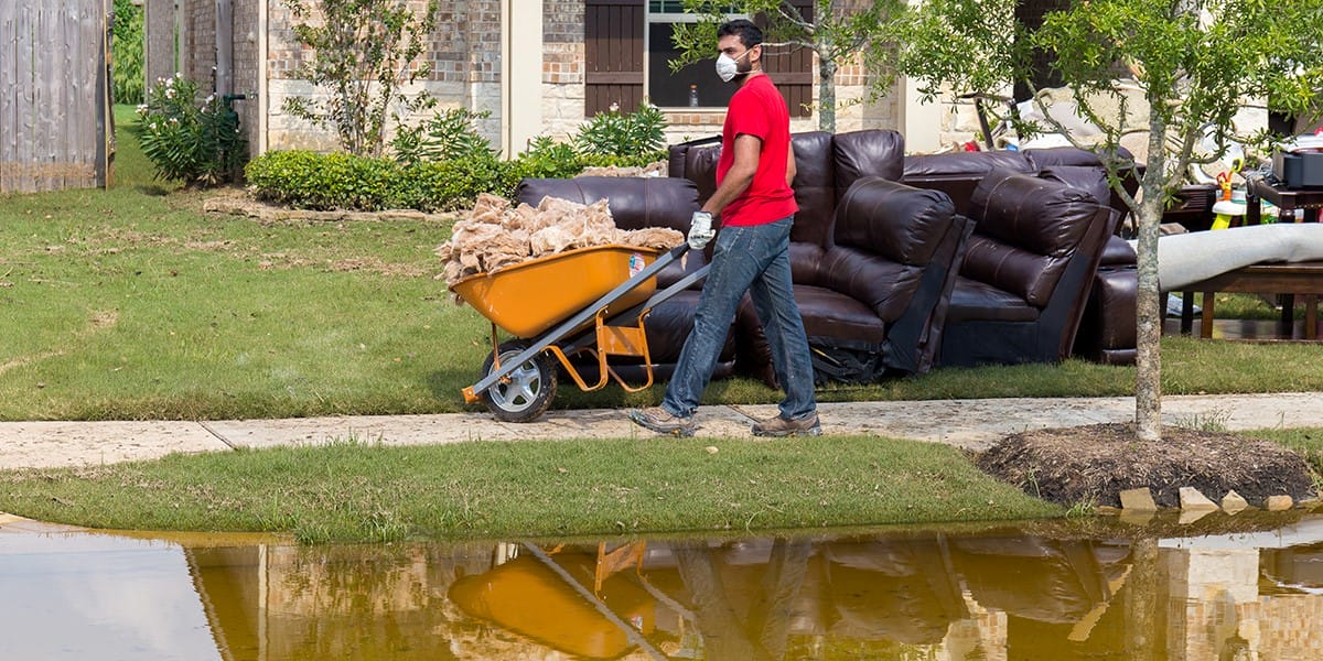 How DIY Hurricane Cleanup Can Create Dangerous Biohazard Situations for ...